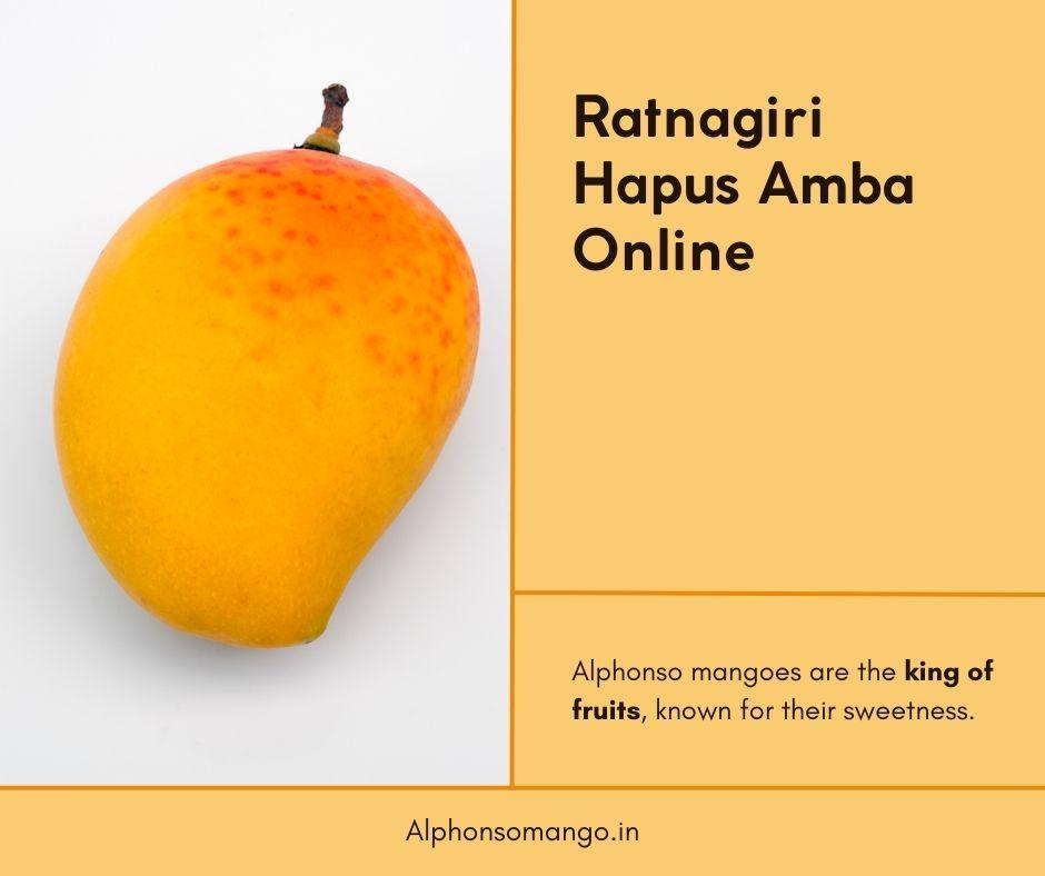 Ratnagiri Hapus Amba - 100% Authentic Mangoes at Best Prices