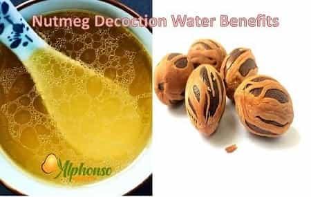 Nutmeg Decoction Water for health – AlphonsoMango.in