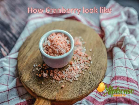 Origin of Himalayan Pink Salt & Benefits | AlphonsoMango.in