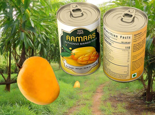 Buy Alphonso Mangoes Online | Hapus Mango – AlphonsoMango.in
