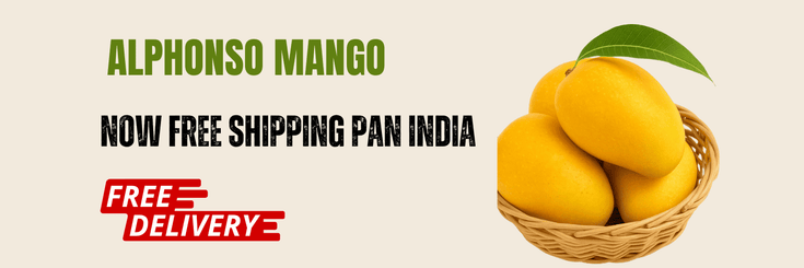 Buy Alphonso Mangoes Online | Hapus Mango – AlphonsoMango.in