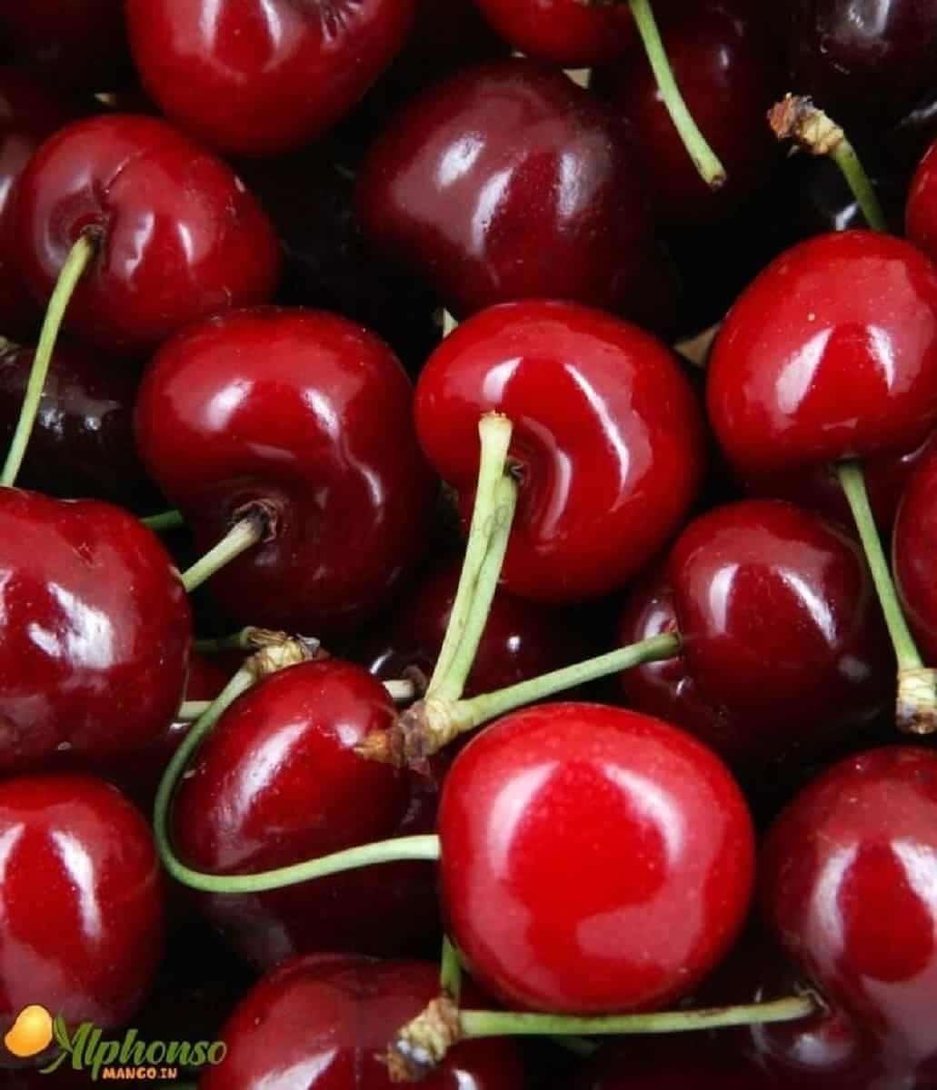 Imported Fresh Cherries online - Cherry Fruit – AlphonsoMango.in