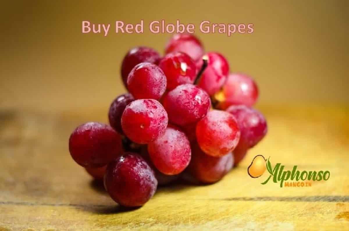 Buy Fresh Red Globe Grapes Online at Alphonso Mango – AlphonsoMango.in