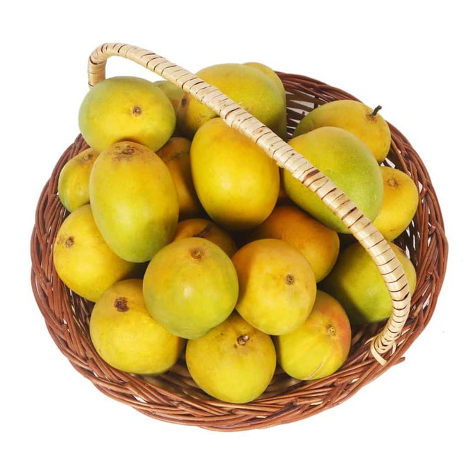 Order Alphonso Mangoes Online - Fresh Hapus from Ratnagiri