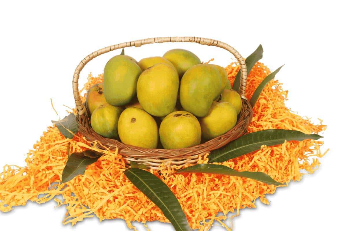 Buy Ratnagiri Alphonso Mangoes Online | Certified Hapus Mango ...